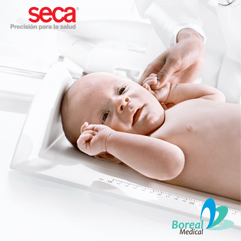 SECA 417 | Boreal Medical
